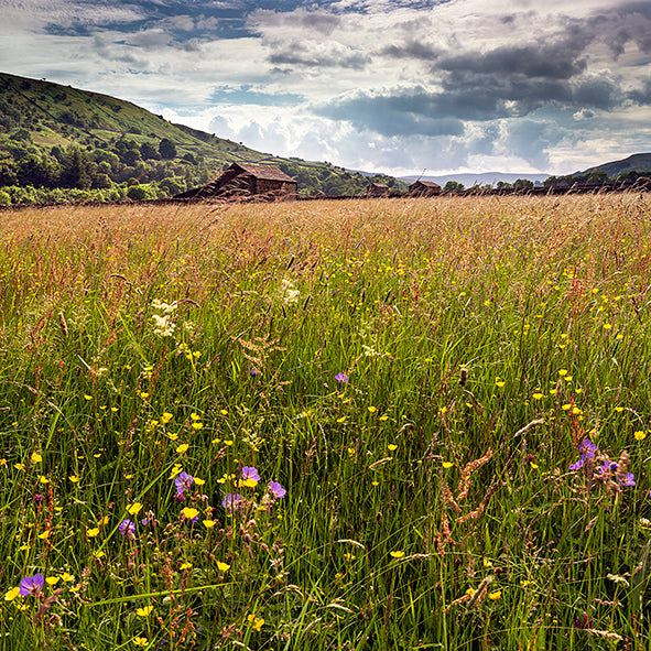 Swaledale Barn, Gunnerside Card - David Tarn Photography – Yorkshire ...