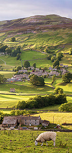 Side Light on Healaugh Swaledale Card- by Mark Denton Photography ...
